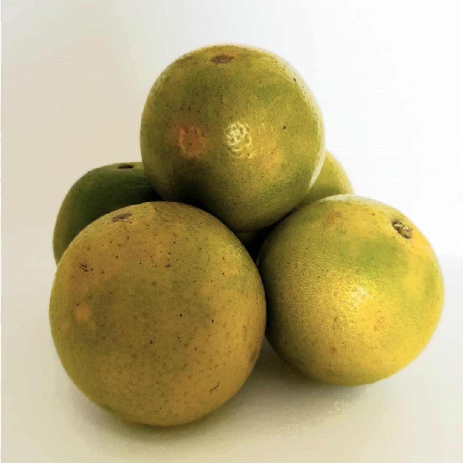 Naranja Zumex CF GRANEL Al Peso - Supermaxi