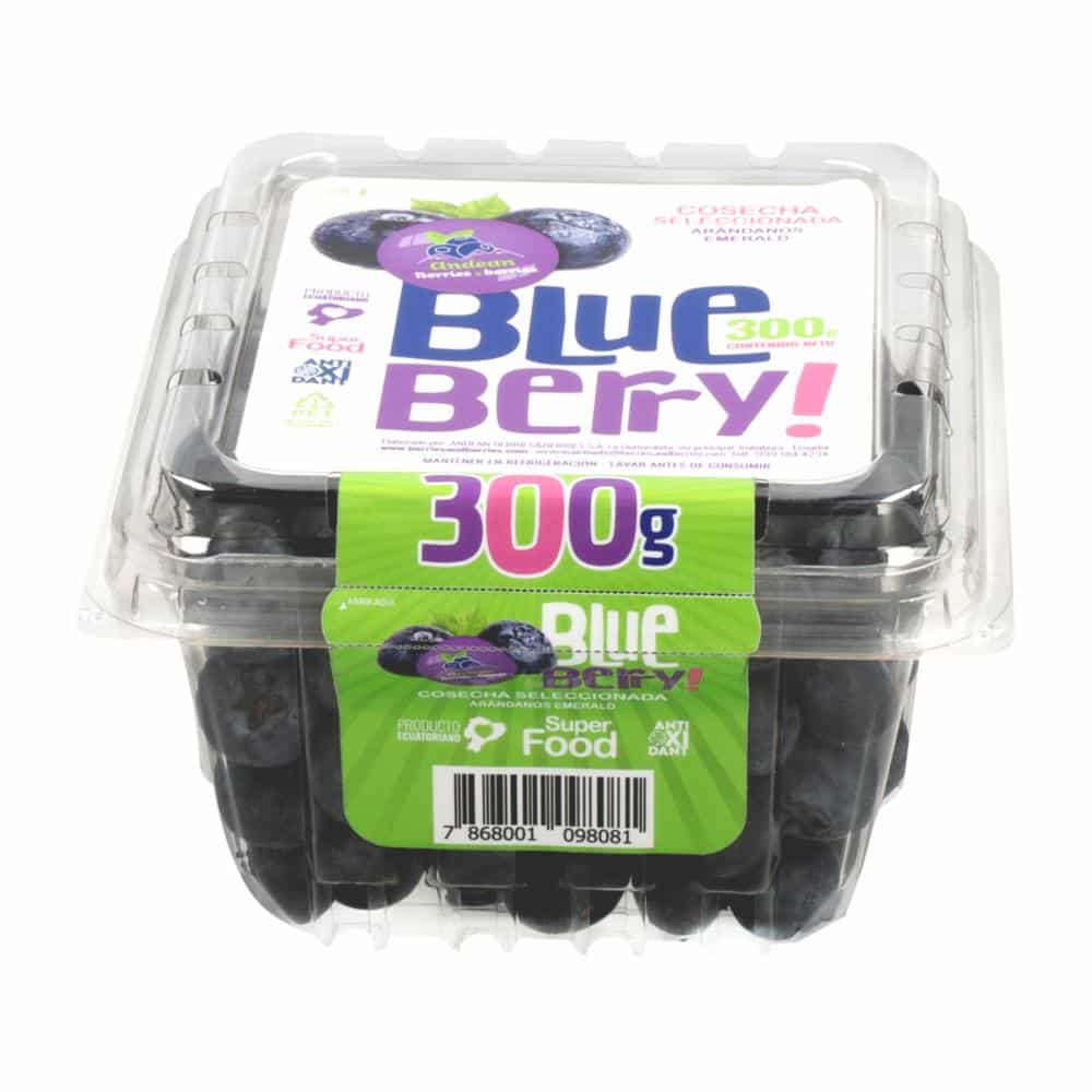 Arándanos Berries & Berries ANDEAN 300 G - Supermaxi