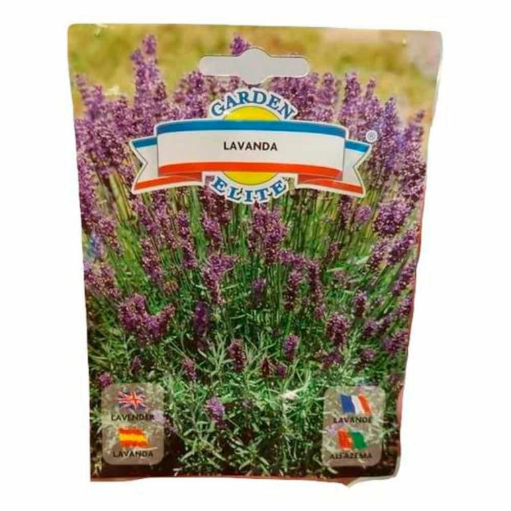 Semillas De Lavanda GALASSI SEMENTI 0,5 G - Supermaxi