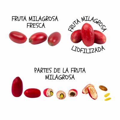Fruta Milagrosa Liofilizada ZAFRÚ 2 G - Supermaxi